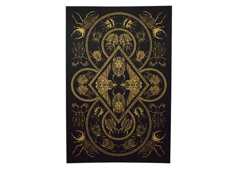 Beetles Curiosity Poster Fennec Design