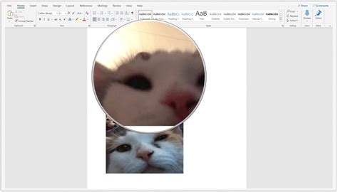 How To Compress Images In Microsoft Word