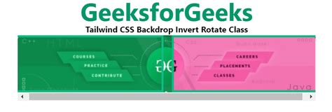 Tailwind Css 背景反转 码农参考