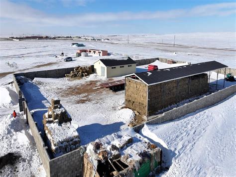 Малчид 20 100 толгой мал худалдах захиалгаа хөдөө аж ахуйн биржэд өгөөд