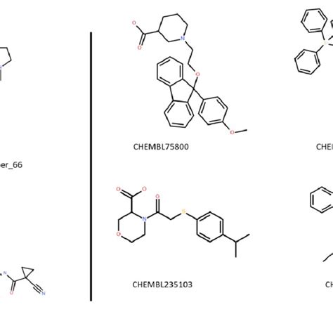 Example Of Molecules Retrieved From The Dataset Using The Two Erg Bit
