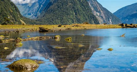 밀포드 사운드 뉴질랜드 마이터 피크mitre Peak는 뉴질랜드 남섬 피오르드랜드 국립공원에 있는 밀포드 사운드의