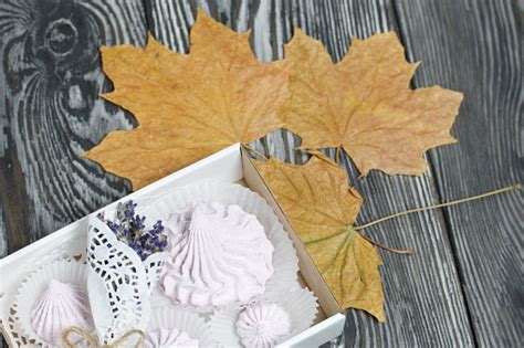 상자에 제퍼 라벤더와 말린 단풍 나무 잎의 꽃다발 그려진 소나무 판자 10월에 대한 스톡 사진 및 기타 이미지 10월 11월 9월 Istock