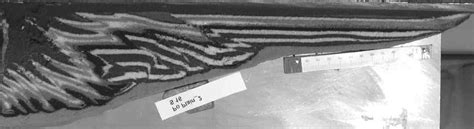 Example Of Cross Section From One Of The Analogue Models Carried Out