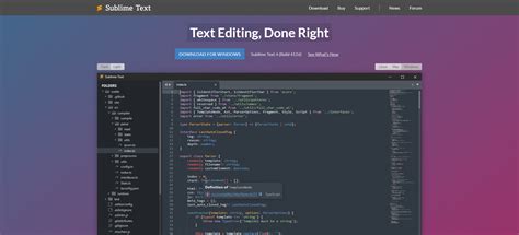 best 10 typescript ide to use in 2025 themeselection