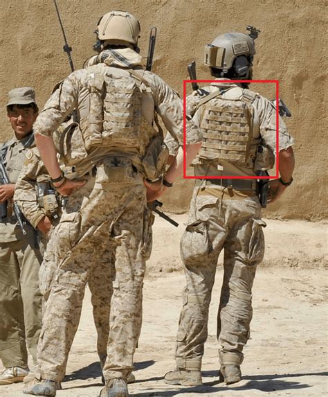 Picview Seals Mit Crye Cpc In Aor1 Und Selfmade „airlite“ Cummerbund Für Den Lbt 6094 Gearnerds