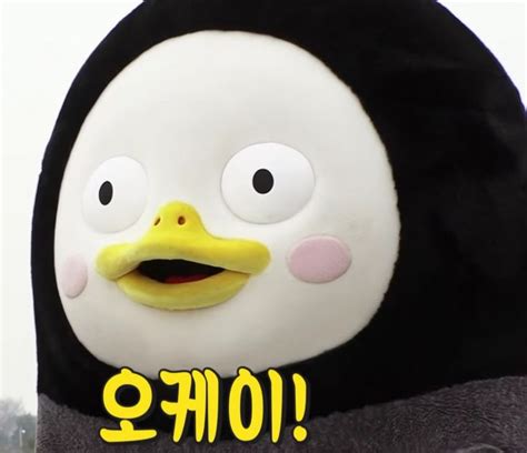 ปกพนโดย YOUNG ใน 펭수