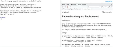 What Is Grepl Function In R