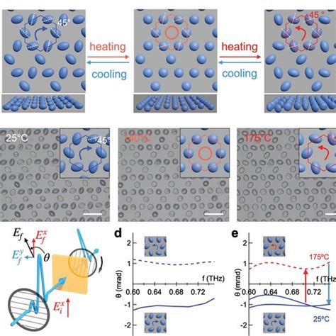Reversible Shape Transformation Of Microparticles A Bright‐field