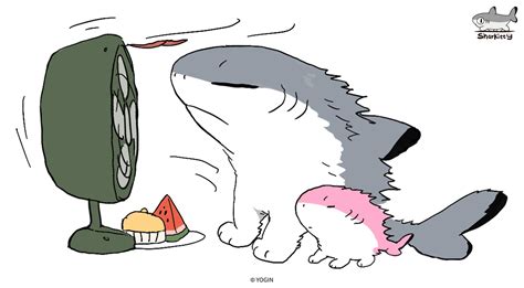 Sharkitty 小粉，在家也可以吹風的🌀 From 逃避外出溜小孩的鯊貓 Pinkie You