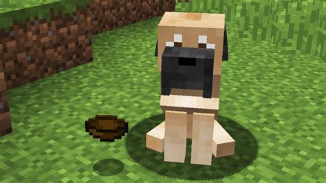 НОВЫЕ СОБАКИ В МАЙНКРАФТ ОБЗОР Youtube