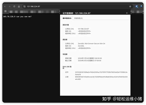 使用 Zerossl 为 Public Ip 免费颁发证书 知乎 使用 Zerossl 为 Public Ip 免费颁发证书 知乎