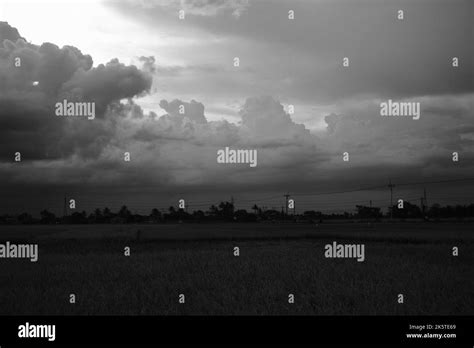Langit Berawan Foto Monokrom Pemandangan Ladang Padi Dengan Langit Berawan Di Sore Hari Di