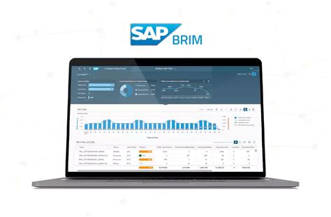 Sap Brim Innovando En La Facturación Y Gestión De Ingresos