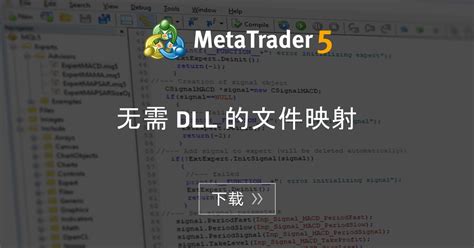 在mql5代码库免费下载 metatrader 5的 无需 dll 的文件映射 sergeev 库 2014 01 28