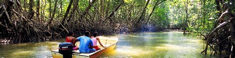 Mangroves National Park Gorillaland Safaris