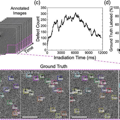 An Overview Of The Ground Truth Annotation Defect Count Download