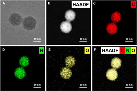 Frontiers Polydopamine Based Nanospheres As Nanoplatforms To Kill Staphylococcus Aureus And To