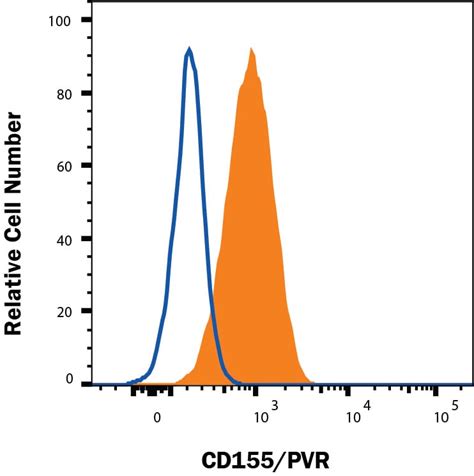Human Cd155pvr Antibody Mab11503 100 Randd Systems
