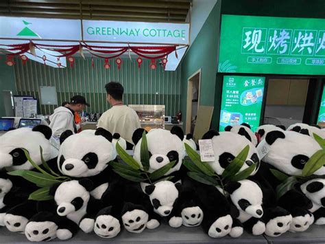 Panda Attractions Boost Regional Tourism The Star