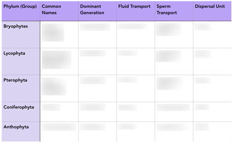 Plantae Diagram Quizlet