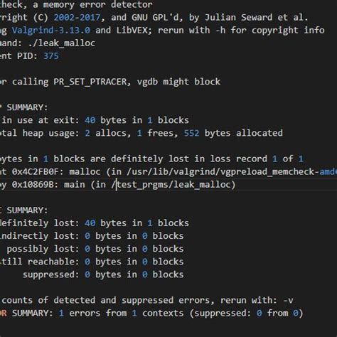 Leak Summary Obtained By Valgrind With Definite Leaks Download Scientific Diagram
