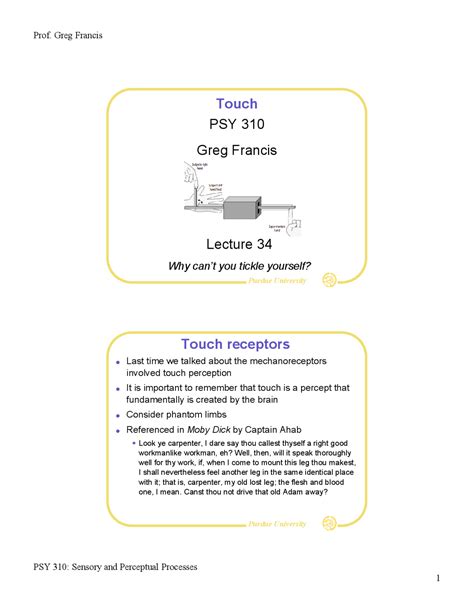 Touch Sensory And Perceptual Processes Lecture Slides Docsity