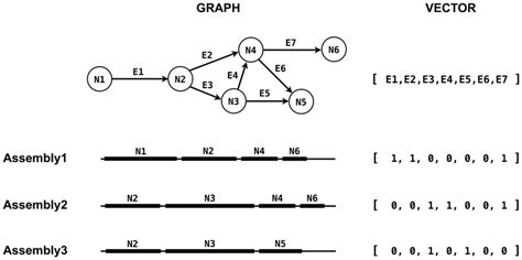 Assembly Representation Contiguous Paths Through The Assembly Graph Download Scientific
