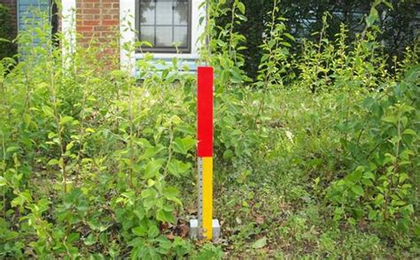 Code Enforcement Tips For Avoiding Nuisance Grass And Weed Violations