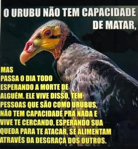 Memes Do Urubu Image Of A Sad Urubu Vulture On Craiyon