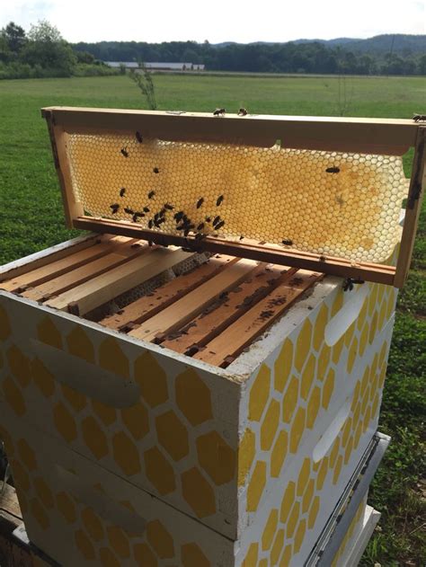 Walt Wright One Of The Granddads Of Beekeeping Was A Firm Believer In Checkerboarding As A
