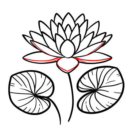 How To Draw Water Lilies 7 Drawing Guides In One Tutorial