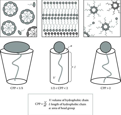 2 Schematic Description Of Some Self Assembled Lipid Structures And An