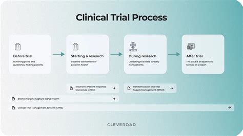 Clinical Trial Software Roles Challenges Development Steps And More