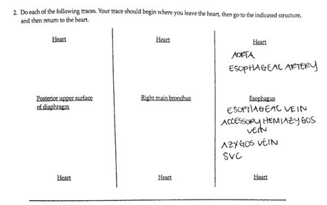 Solved Do Each Of The Following Traces Your Trace Should Chegg