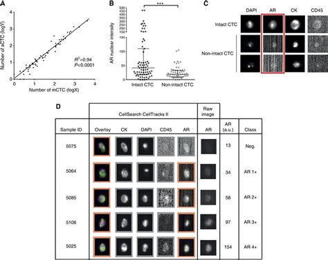 CTC Enumeration And AR Quantitation Of Individual CTCs In Clinical Download Scientific Diagram