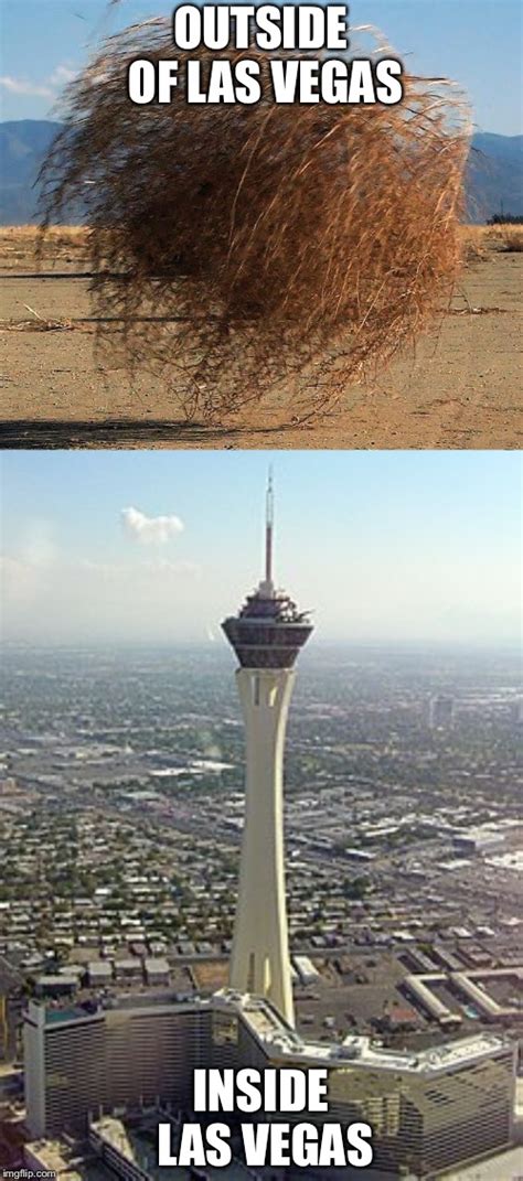 Memes About Las Vegas New Posts In Anything Memes Community On