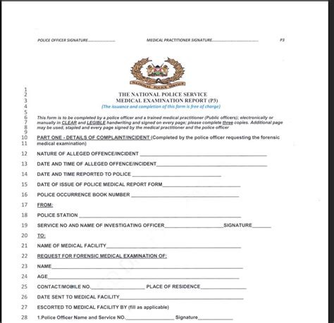 The Updated P3 Form Download Pdf 10 Pages