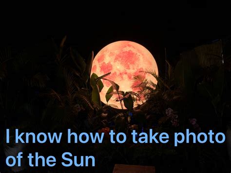 Sina Yun Posted On Linkedin