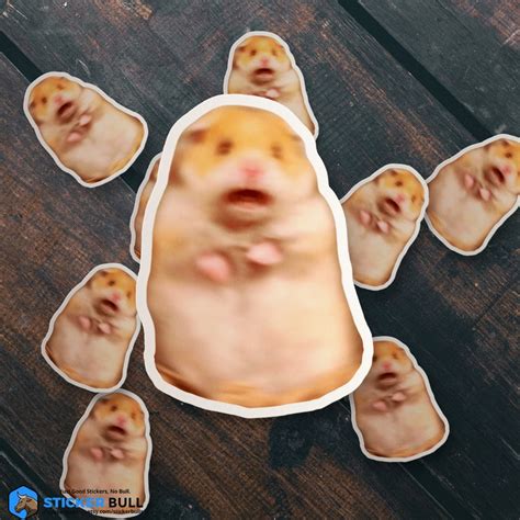 Scared Hamster Meme Sticker Funny Gerbil Meme 5 Pack Bogo Etsy