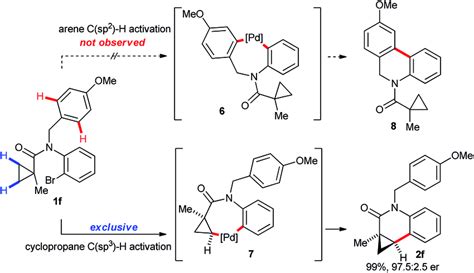 Cyclopropane Csp³h Activation Over Arene Csp²h Activation In 1f Download Scientific