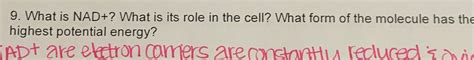 Solved What Is NAD What Is Its Role In The Cell What Chegg Com