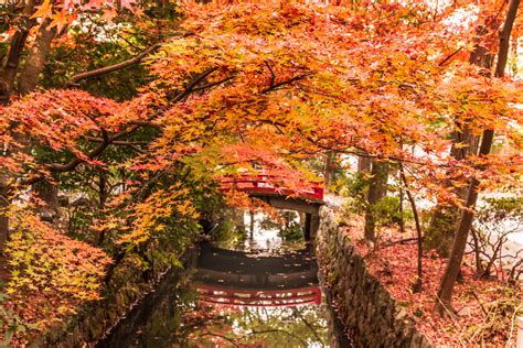 Autumn Weather In Japan