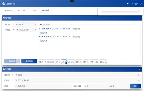 GitHub HeBianGu WPF Tool WPF开发的小工具 TCP UDP等