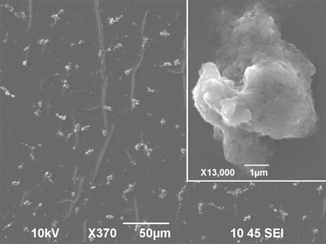 Displays A Sem Image Of The 0 1 0 4 Wt Na Montmorillonite Sio2 Colloid Download Scientific