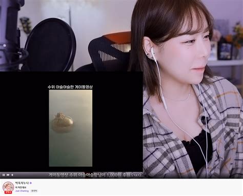 옥 와 게이동영상 수위아슬아슬함 씨바 존나보고싶다 빨리봐야지 치지직 에펨코리아
