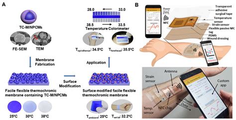Wearable Temperature Sensing Devices For Wound Healing A Facile Download Scientific Diagram