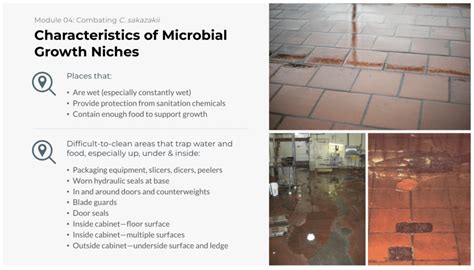 Combating Cronobacter In Foods Causes Concerns And Solutions Ieh Academy