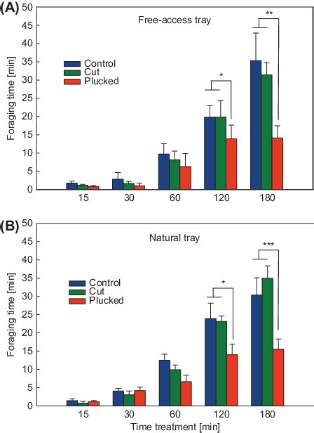 A Means Se Of Cumulative Foraging Time Of House Sparrows Feeding Download Scientific Diagram