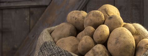 Ingredients Mcdonalds